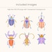Cute Bug and Insects Clipart, Whimsy Clipart Bundle, Commercial Use ...