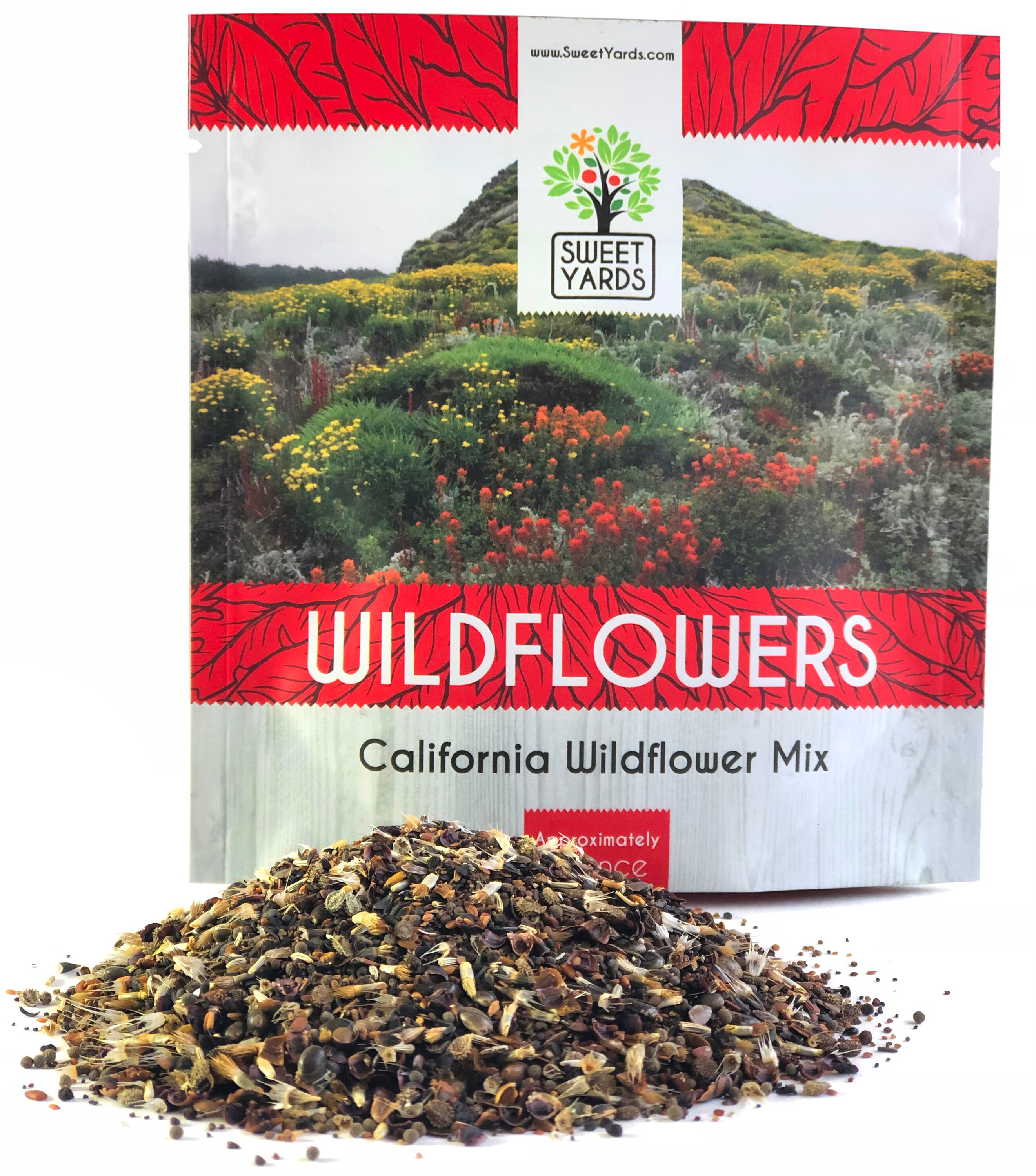 Native Northeast Wildflower Seed Mix Etsy