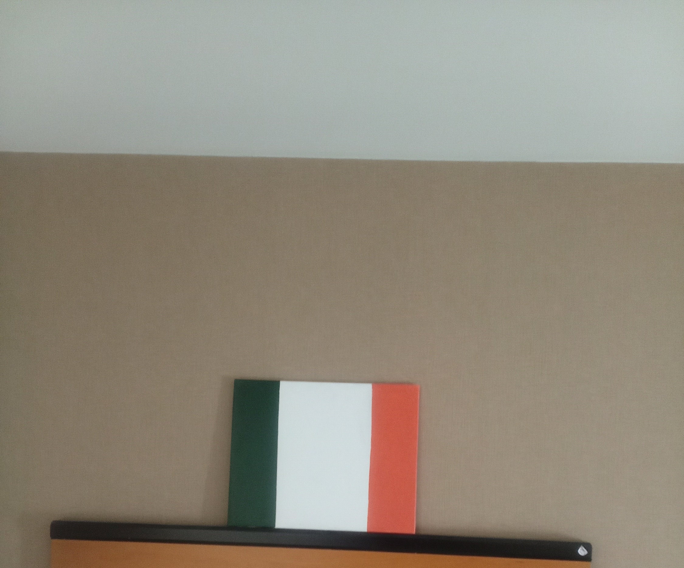 Irish Flag| Irish Pride| Custom Flag| Handmade Flag - Etsy
