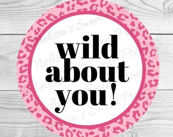 Printable Valentine's Day Cookie Tag Happy Valentine's Day Cookie Tags ...