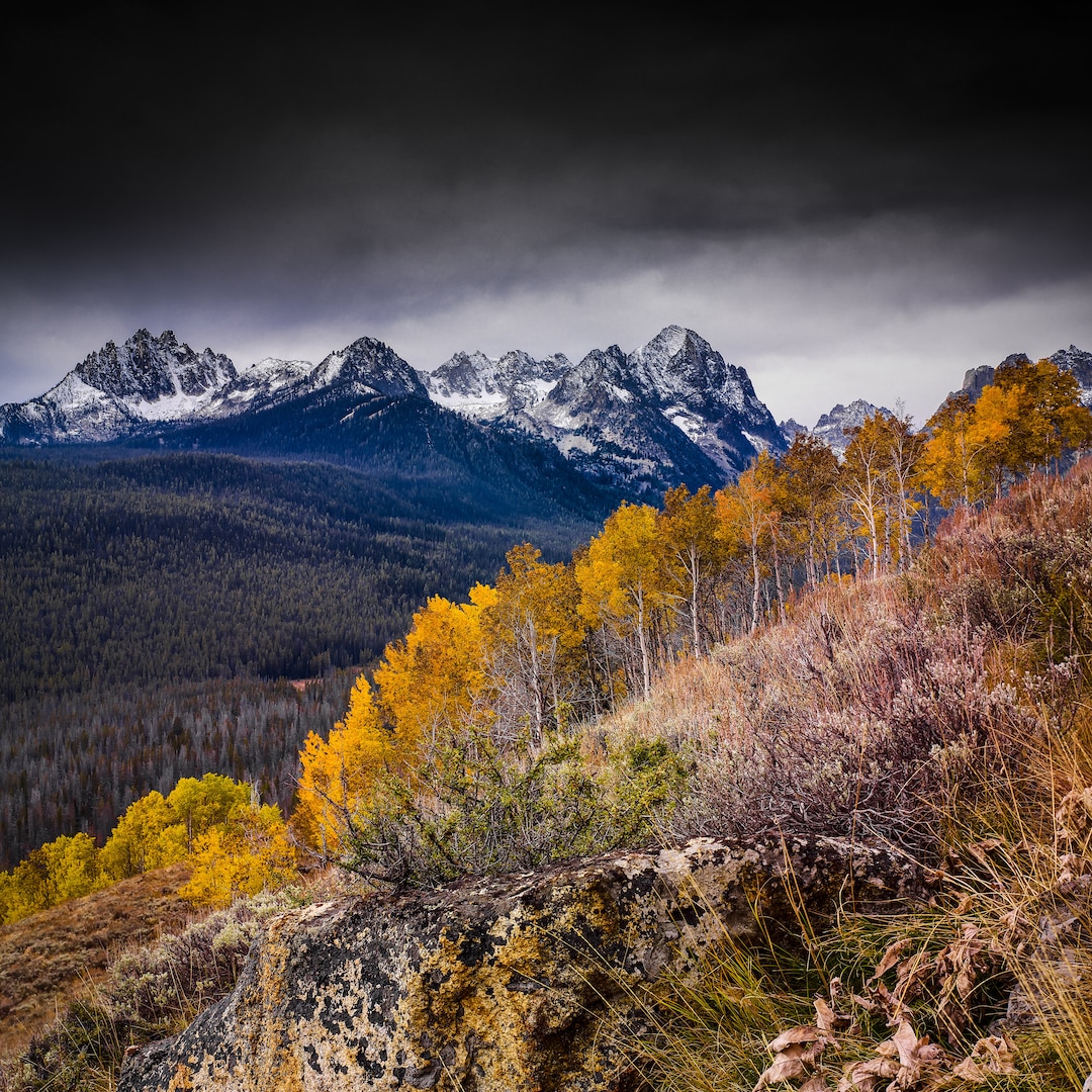 Sawtooth Block Print - Etsy