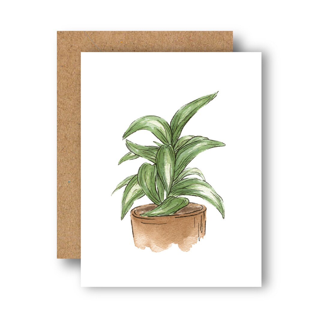 Dracaena Plant Watercolor Notecard - Plant Mom Card Set - Stationery ...