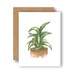 Dracaena Plant Watercolor Notecard - Plant Mom Card Set - Stationery ...
