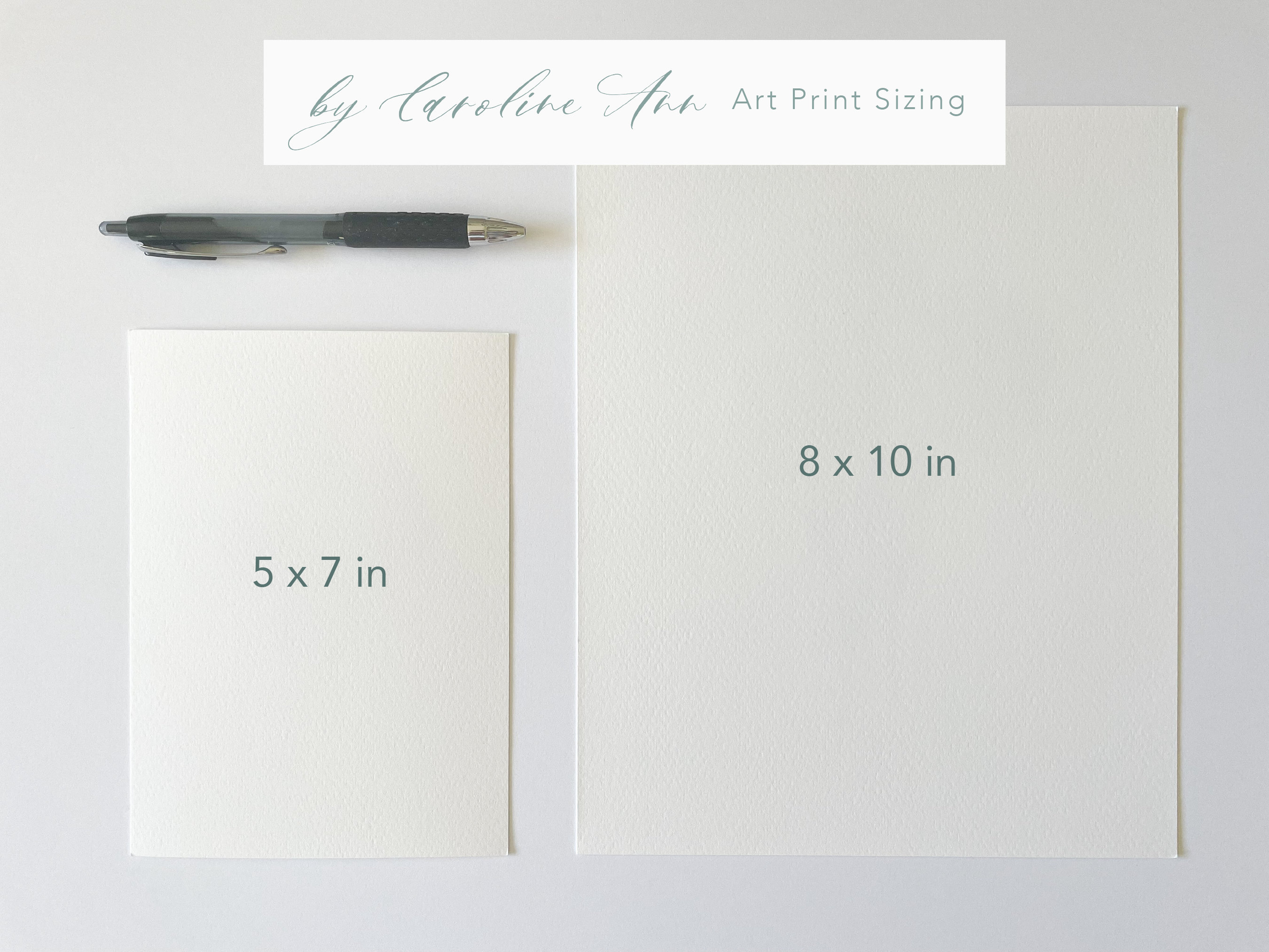 Black Eyed Susans Watercolor - Botanical Art Print - Floral Wall Art ...