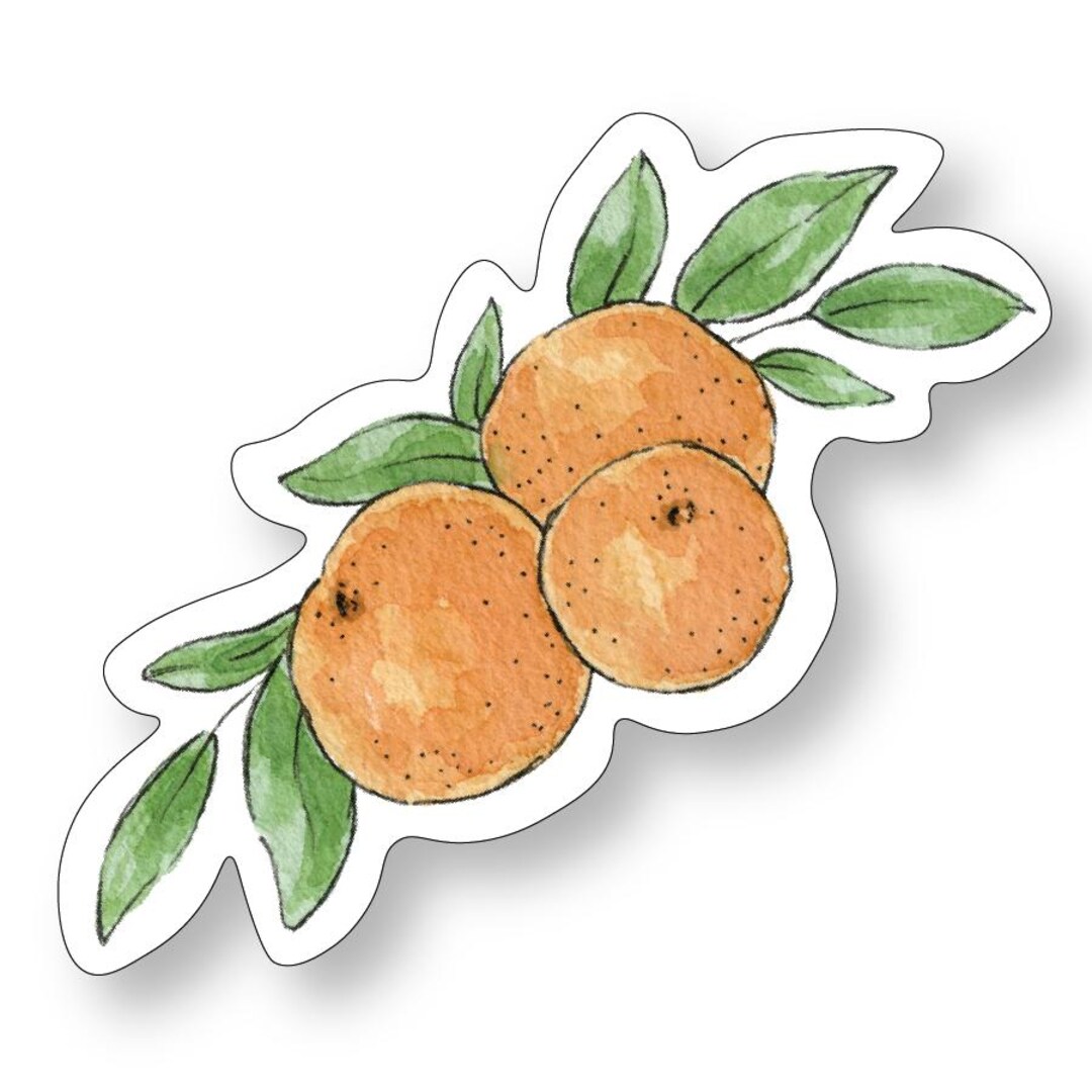 Watercolor Oranges Cluster Sticker: Citrus Fruit Vinyl Decal - Etsy