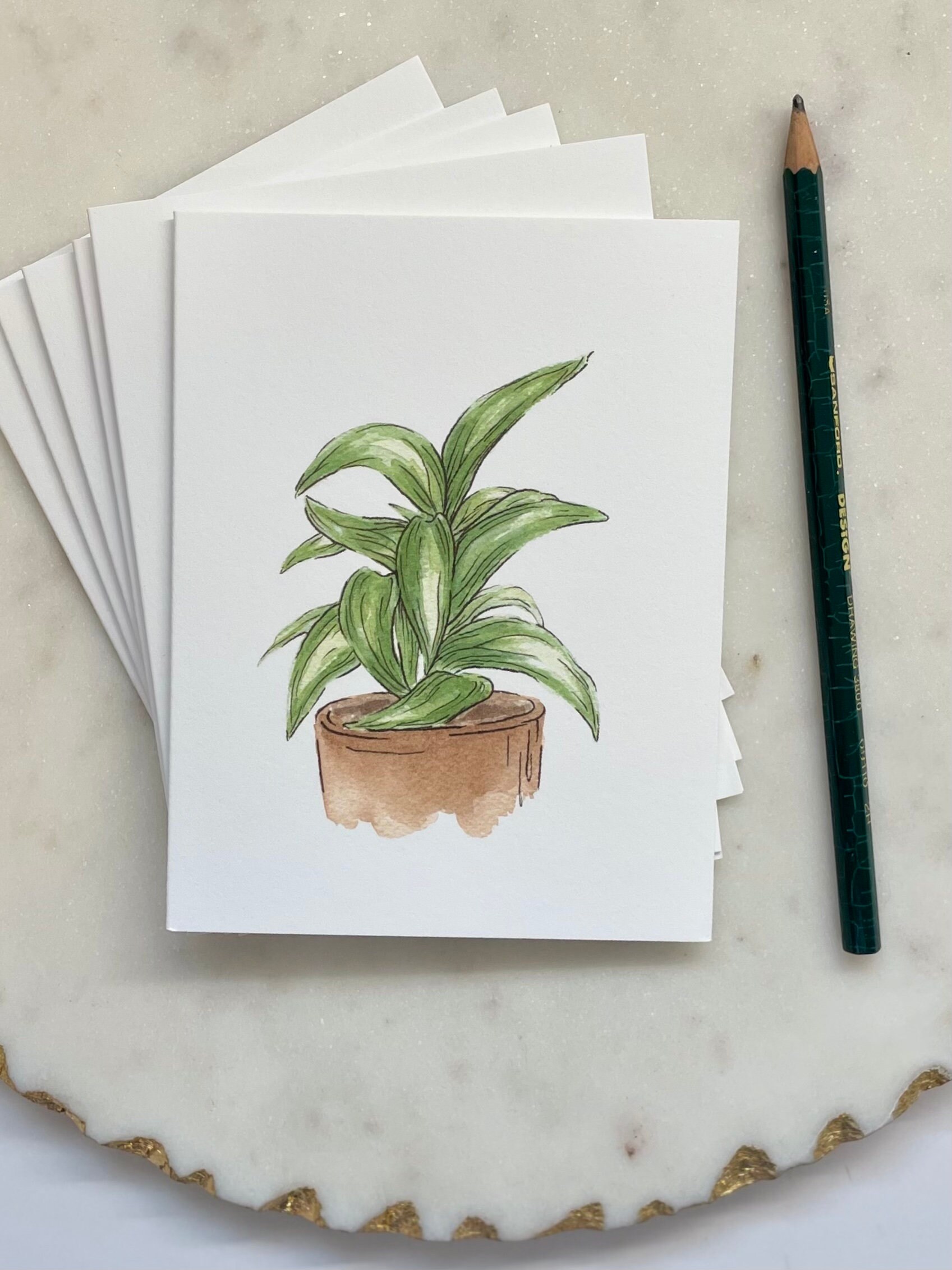 Dracaena Plant Watercolor Notecard Plant Mom Card Set - Etsy