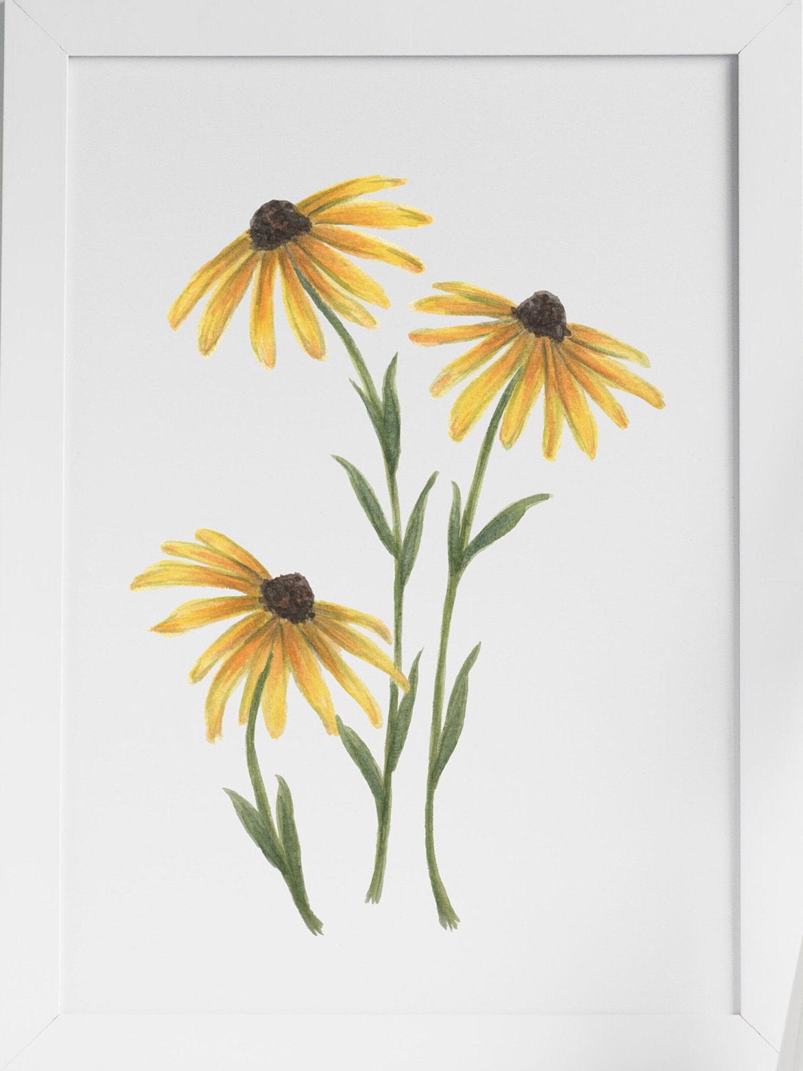 Black Eyed Susans Watercolor - Botanical Art Print - Floral Wall Art ...