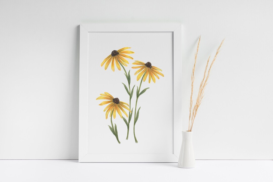 Black Eyed Susans Watercolor - Botanical Art Print - Floral Wall Art ...