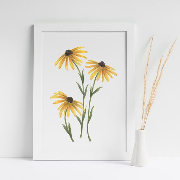 Black Eyed Susan - Etsy