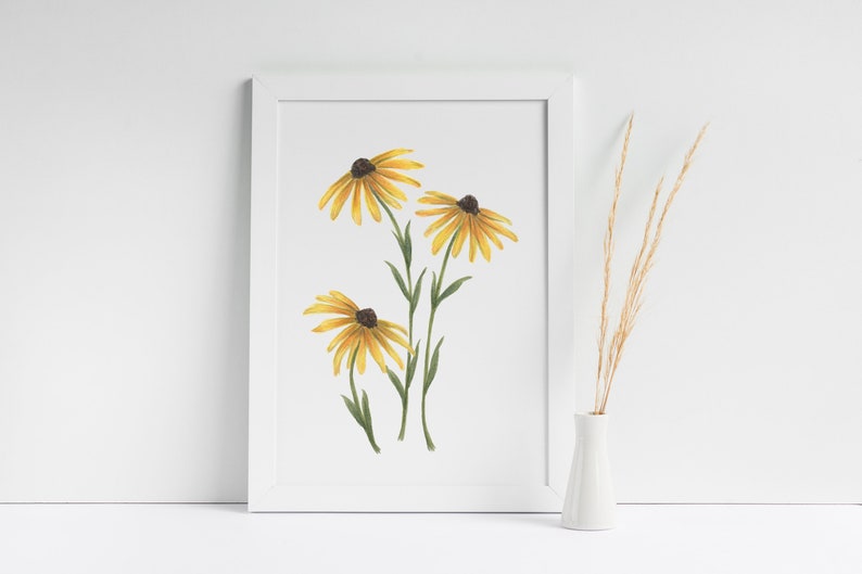 Black Eyed Susans Watercolor - Botanical Art Print - Floral Wall Art ...