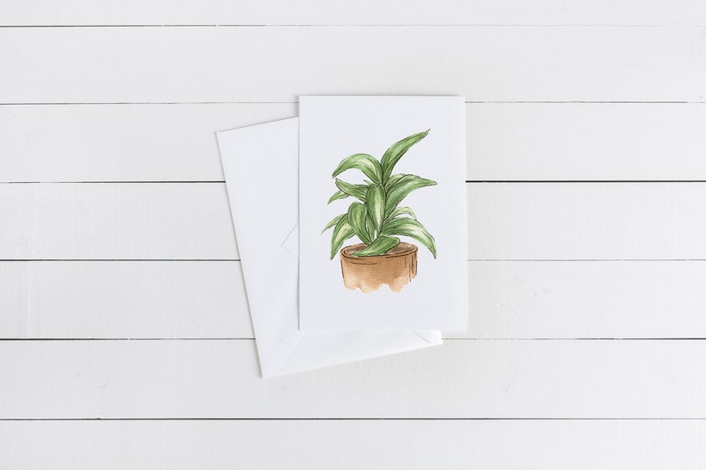 Dracaena Plant Watercolor Notecard Plant Mom Card Set - Etsy