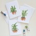 Dracaena Plant Watercolor Notecard - Plant Mom Card Set - Stationery ...