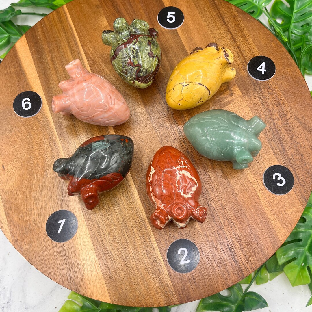 Abstract Anatomical Heart - Etsy