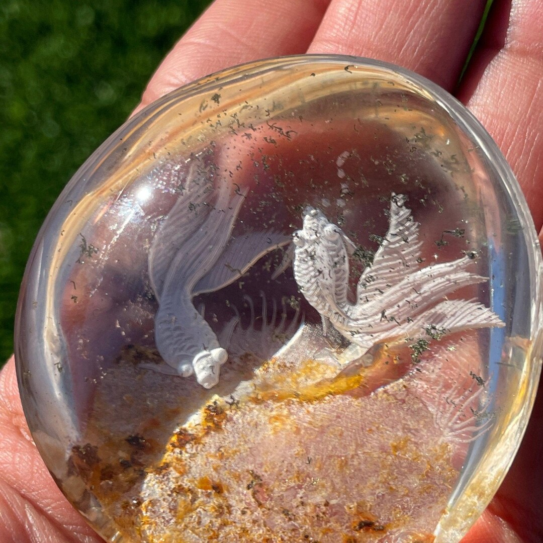 Garden Quartz & Chlorite Goldfish Palm Stone - Etsy