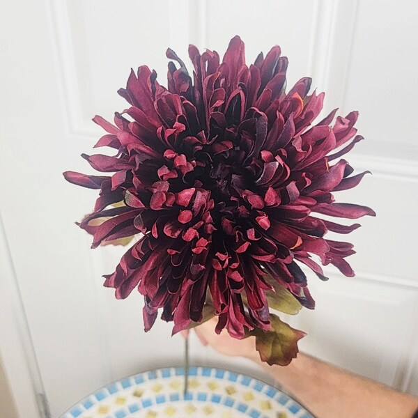 Spider Mum - Etsy