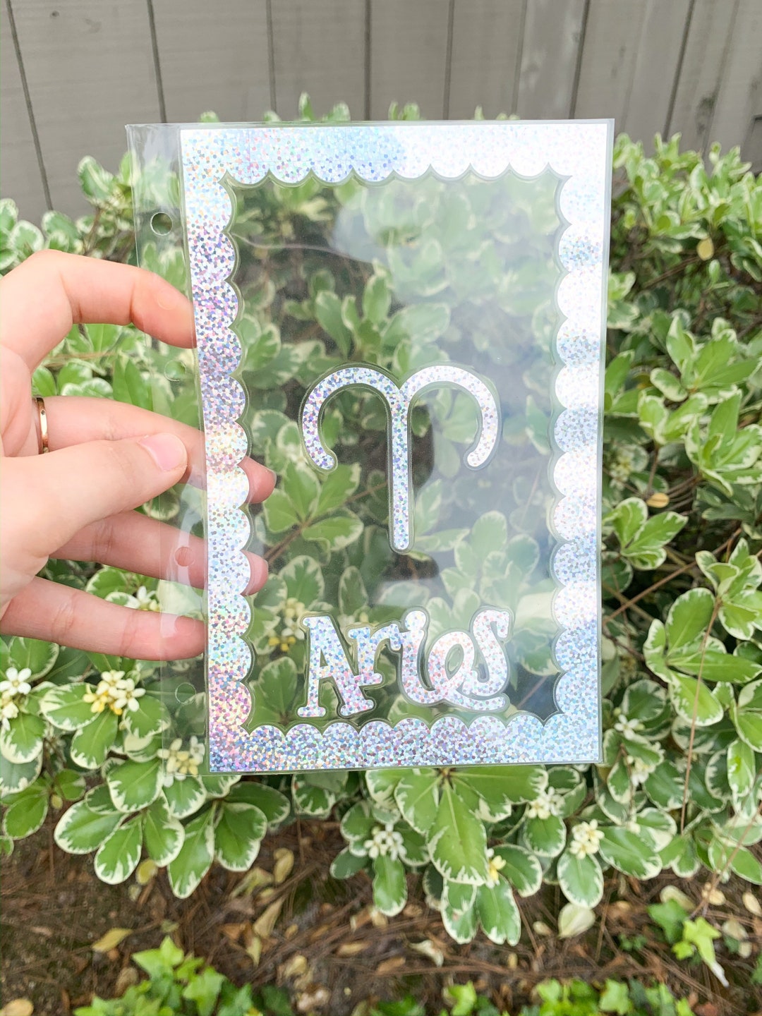 Zodiac Sign Planner Dashboard - Clear Dashboard - Planner Divider ...
