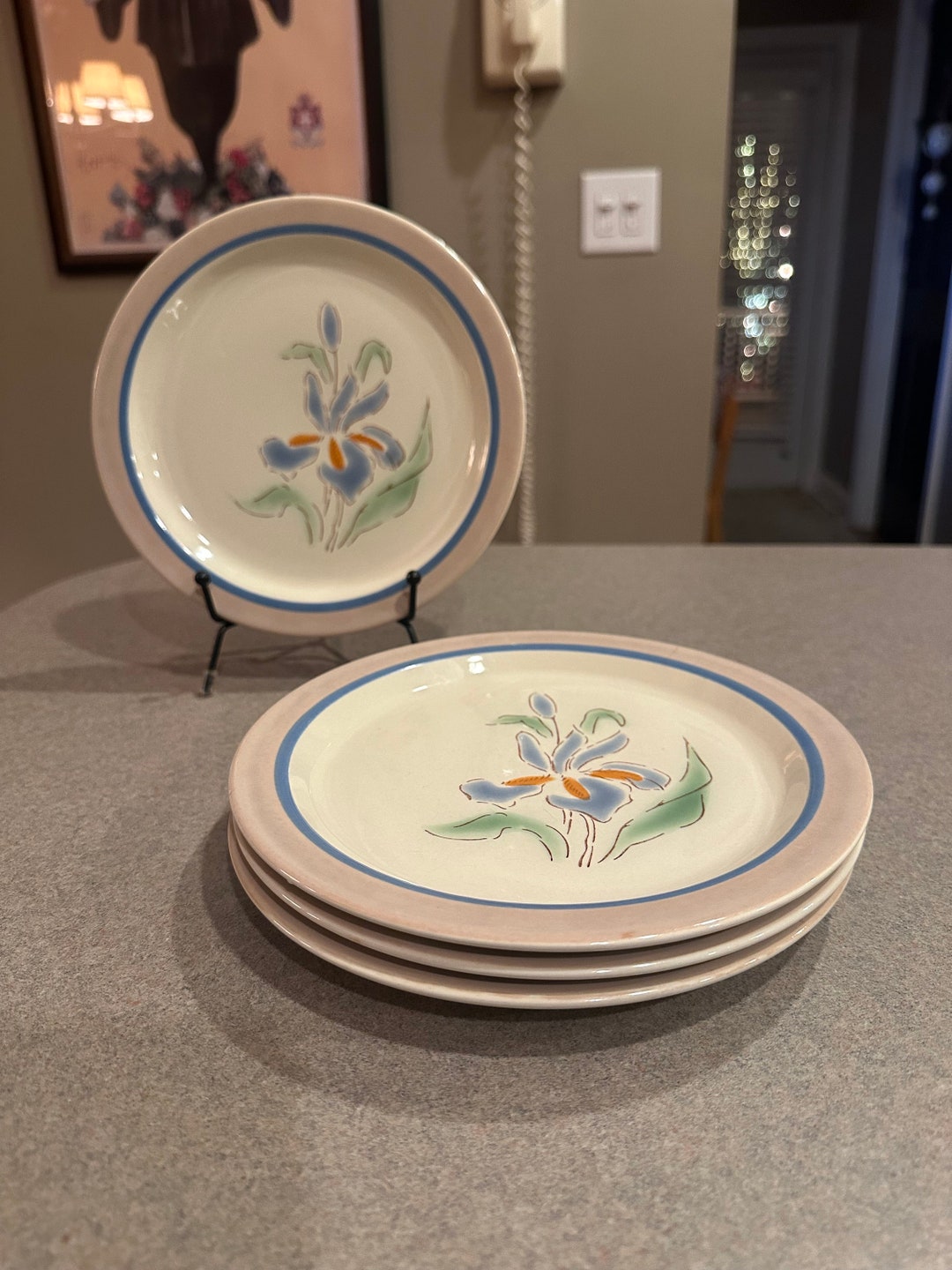 International China Co 7 3/4 Inch Stoneware Salad Plates Rock Garden ...