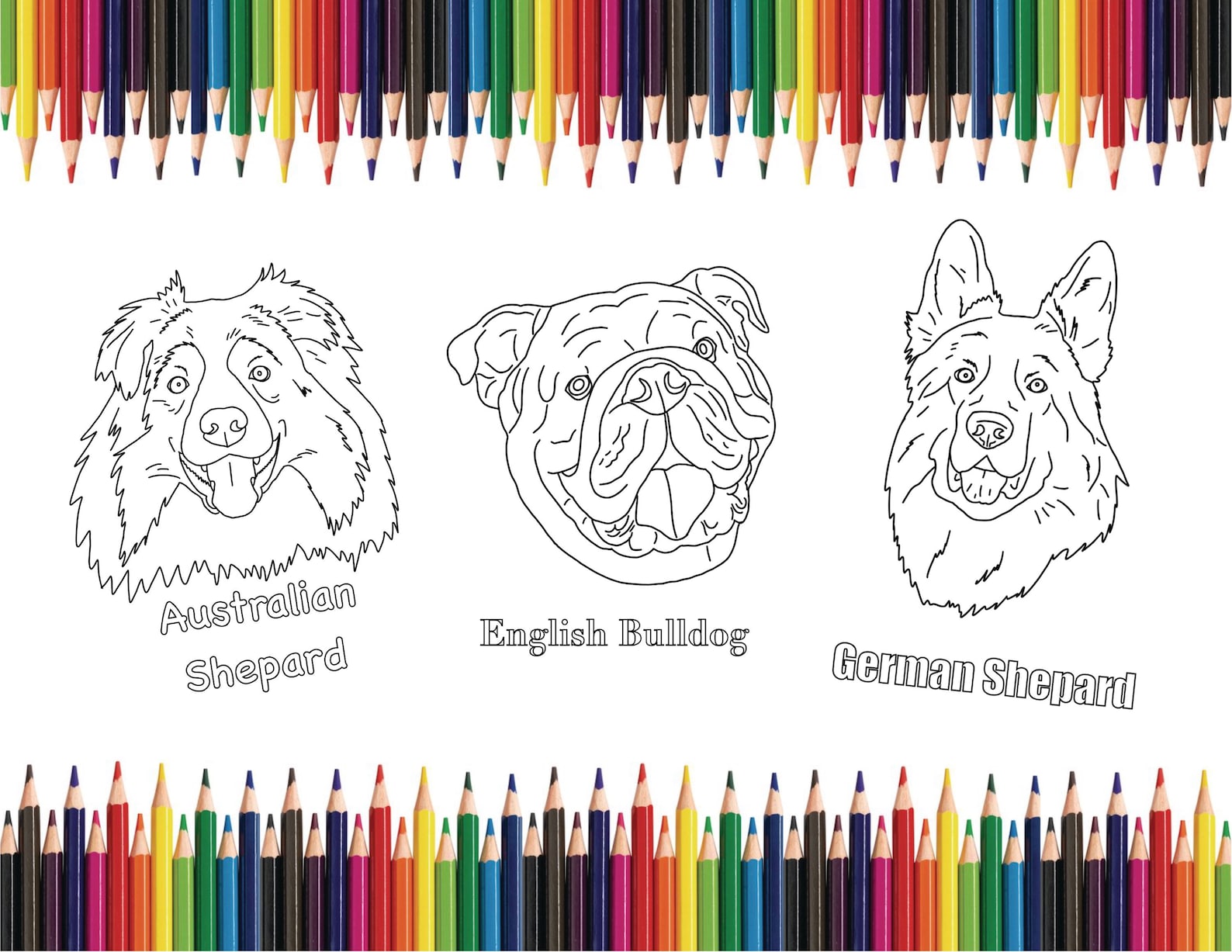 23 Dog Breeds Coloring Pages, Printable Kids Coloring Pages, A-Z Dog ...