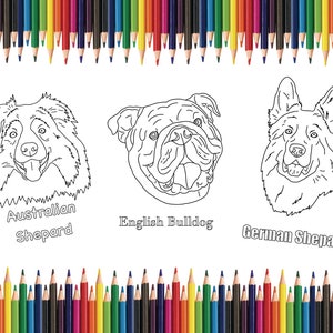 23 Dog Breeds Coloring Pages, Printable Kids Coloring Pages, A-Z Dog ...
