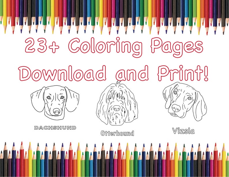 23 Dog Breeds Coloring Pages, Printable Kids Coloring Pages, A-Z Dog ...
