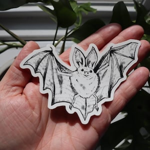 Bat Sticker, Halloween Sticker, Black and White, Waterproof ...