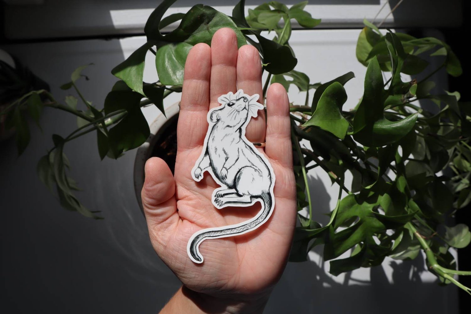 Rat Sticker, Halloween Sticker, Cute Sticker, Black and White ...