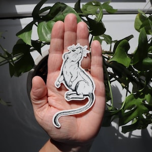 Rat Sticker, Halloween Sticker, Cute Sticker, Black and White ...