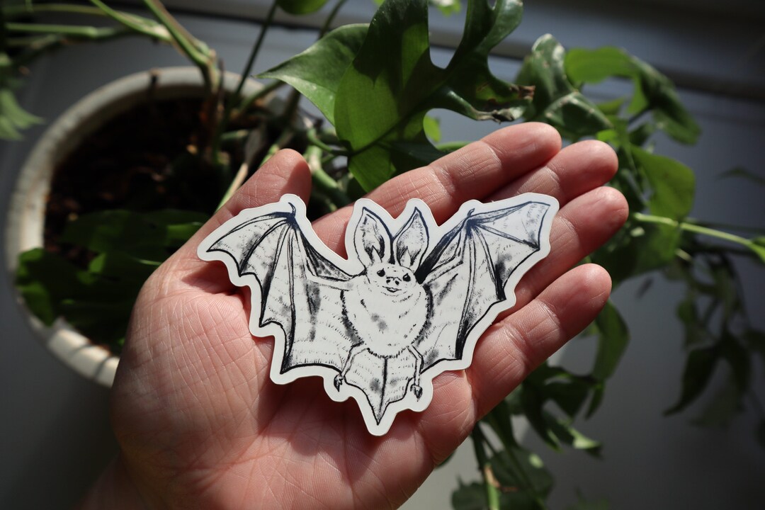 Bat Sticker, Halloween Sticker, Black and White, Waterproof ...