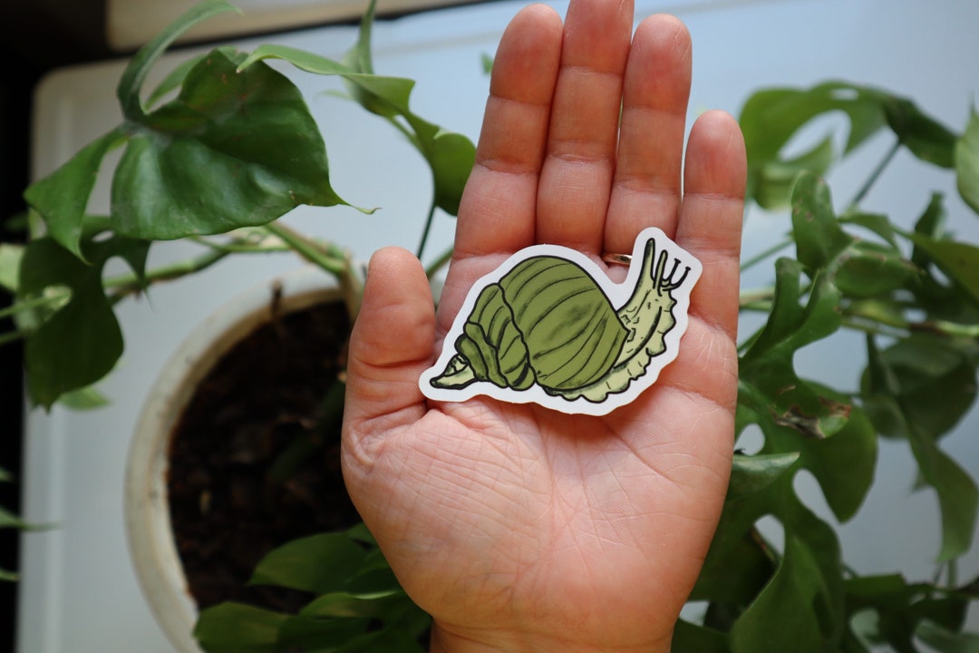 Snail Sticker, Cottagecore Sticker, Cute Sticker, Waterproof Sticker ...