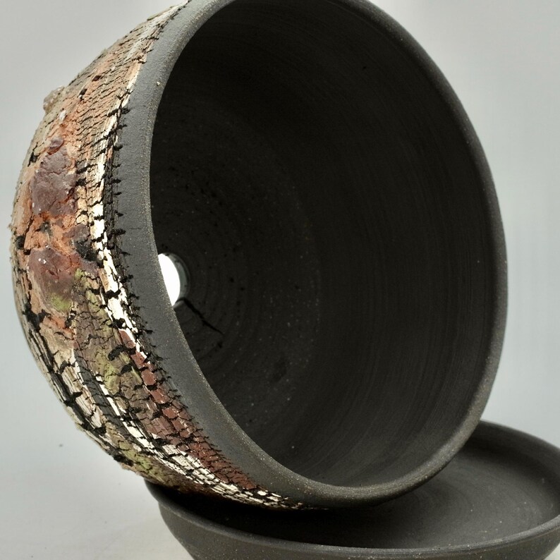 Shady Bush Planter and Plate, Approx 6x4.5, Indoor Ceramic Plant Pot ...