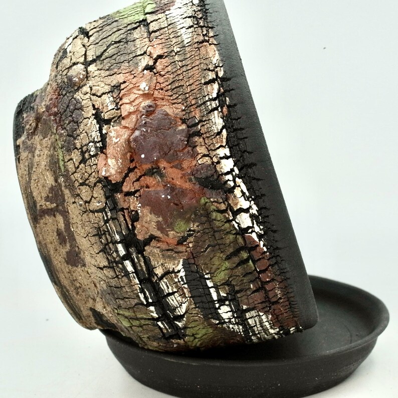 Shady Bush Planter and Plate, Approx 6x4.5, Indoor Ceramic Plant Pot ...