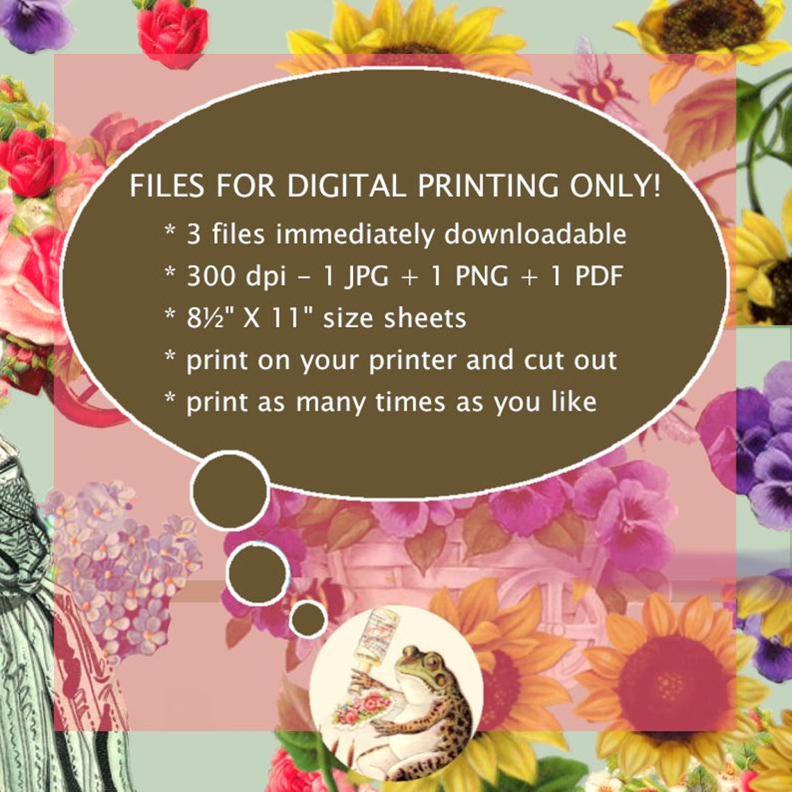 SEA SHELLS Digital Download 300 Dpi Vintage Sea Shells Fussy Cut High ...
