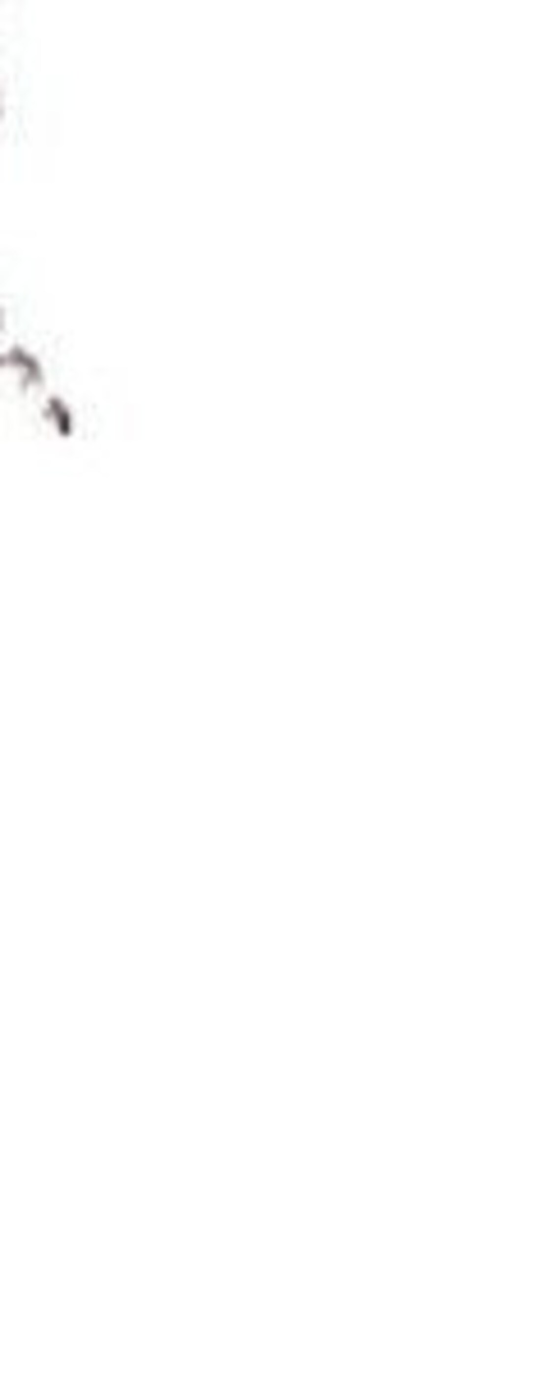 Print: A Room With a View - Etsy