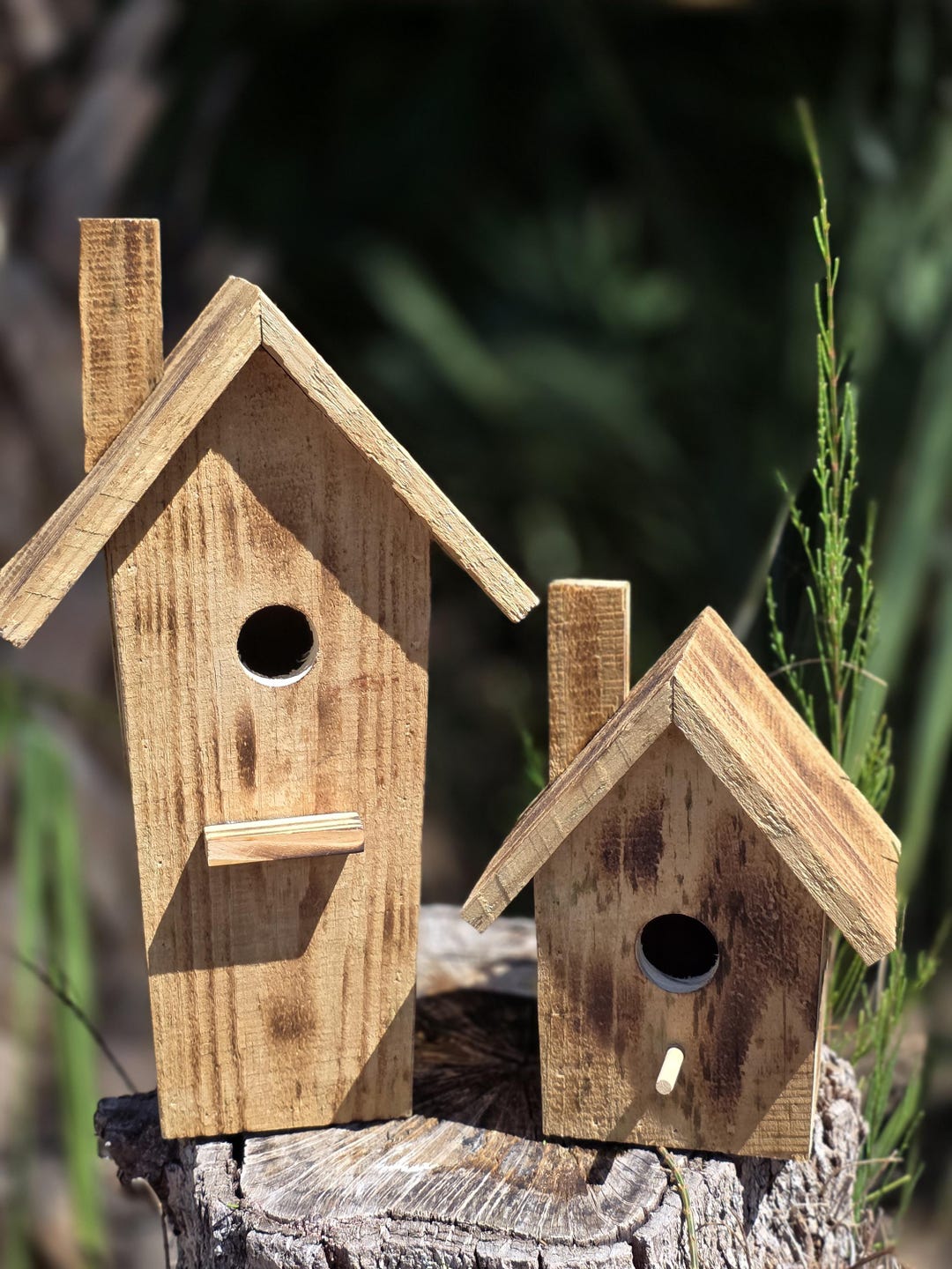 Rustic Raw Wood Mini Bird Houses - Etsy
