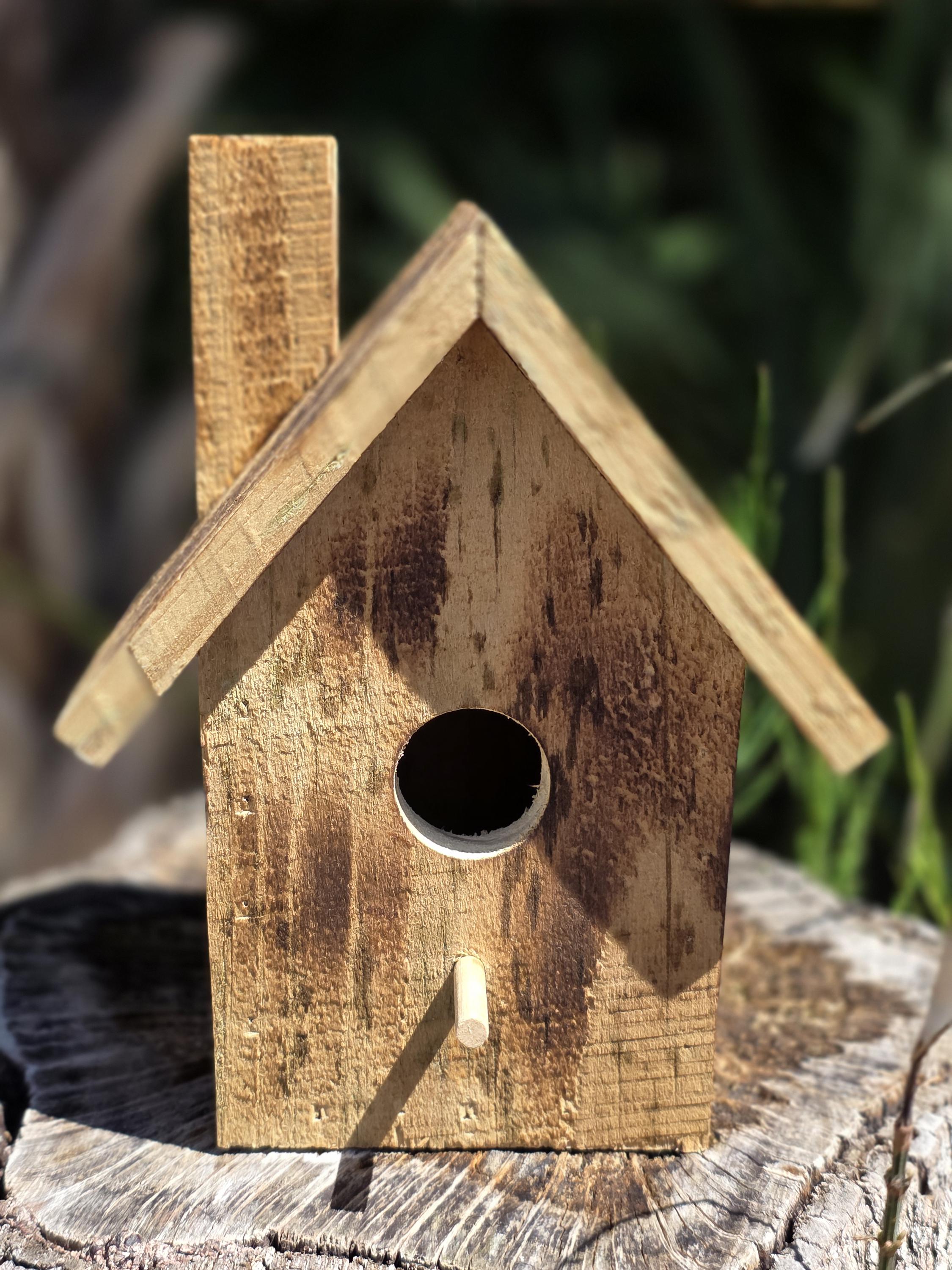 Rustic Raw Wood Mini Bird Houses - Etsy