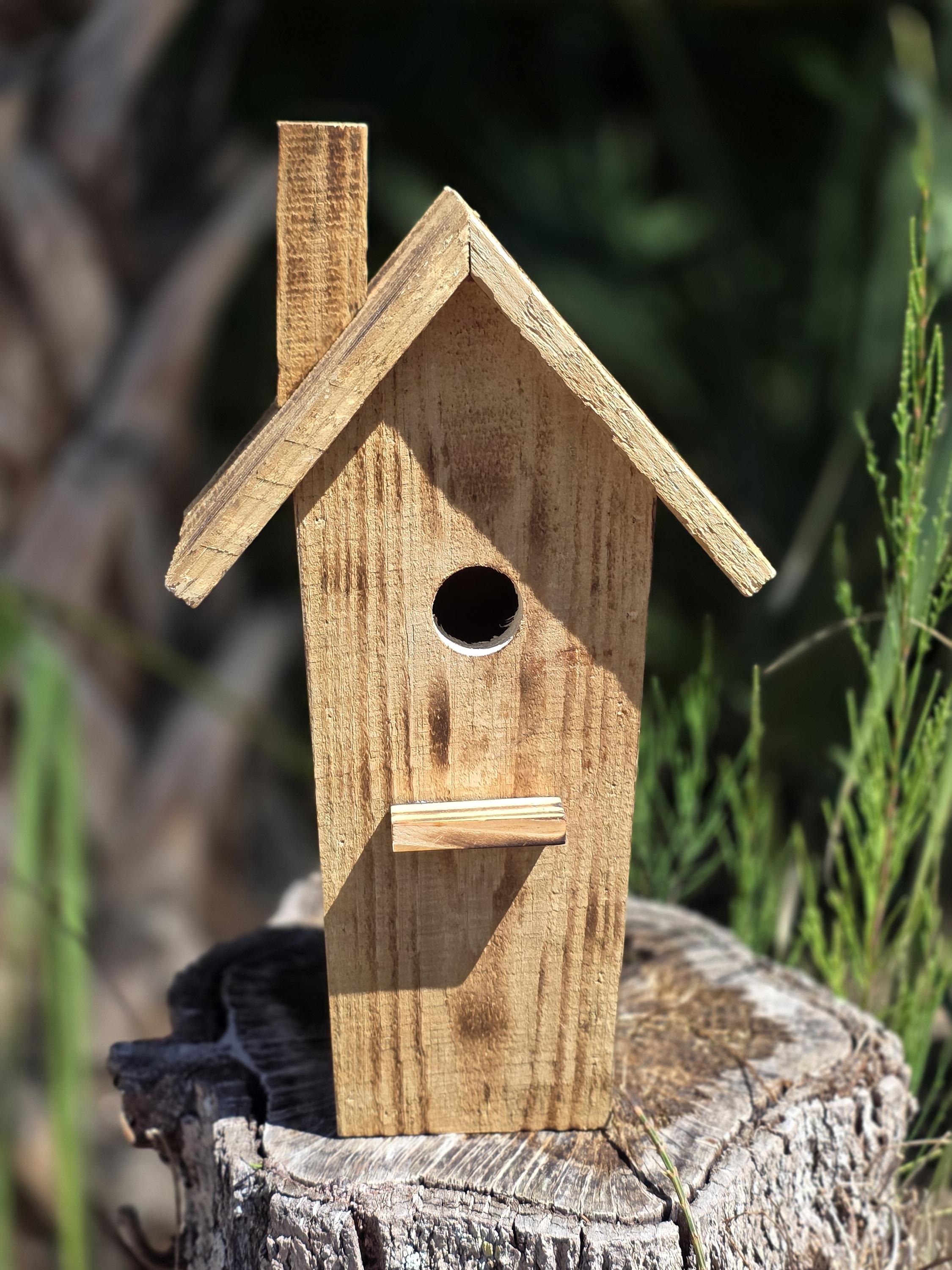 Rustic Raw Wood Mini Bird Houses - Etsy