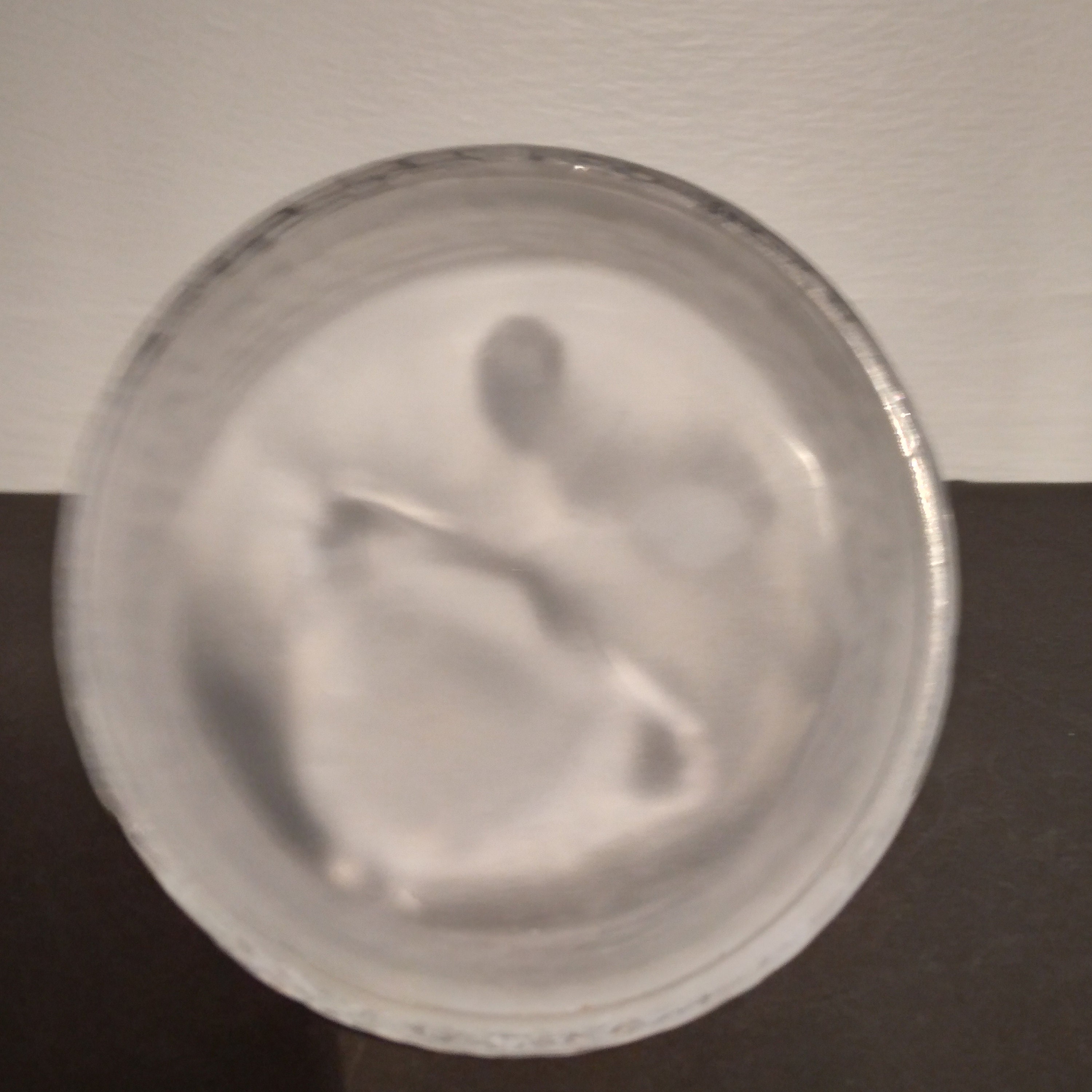 Rare Dog Vintage Collectable Clear Glass Figurine Paperweight - Etsy