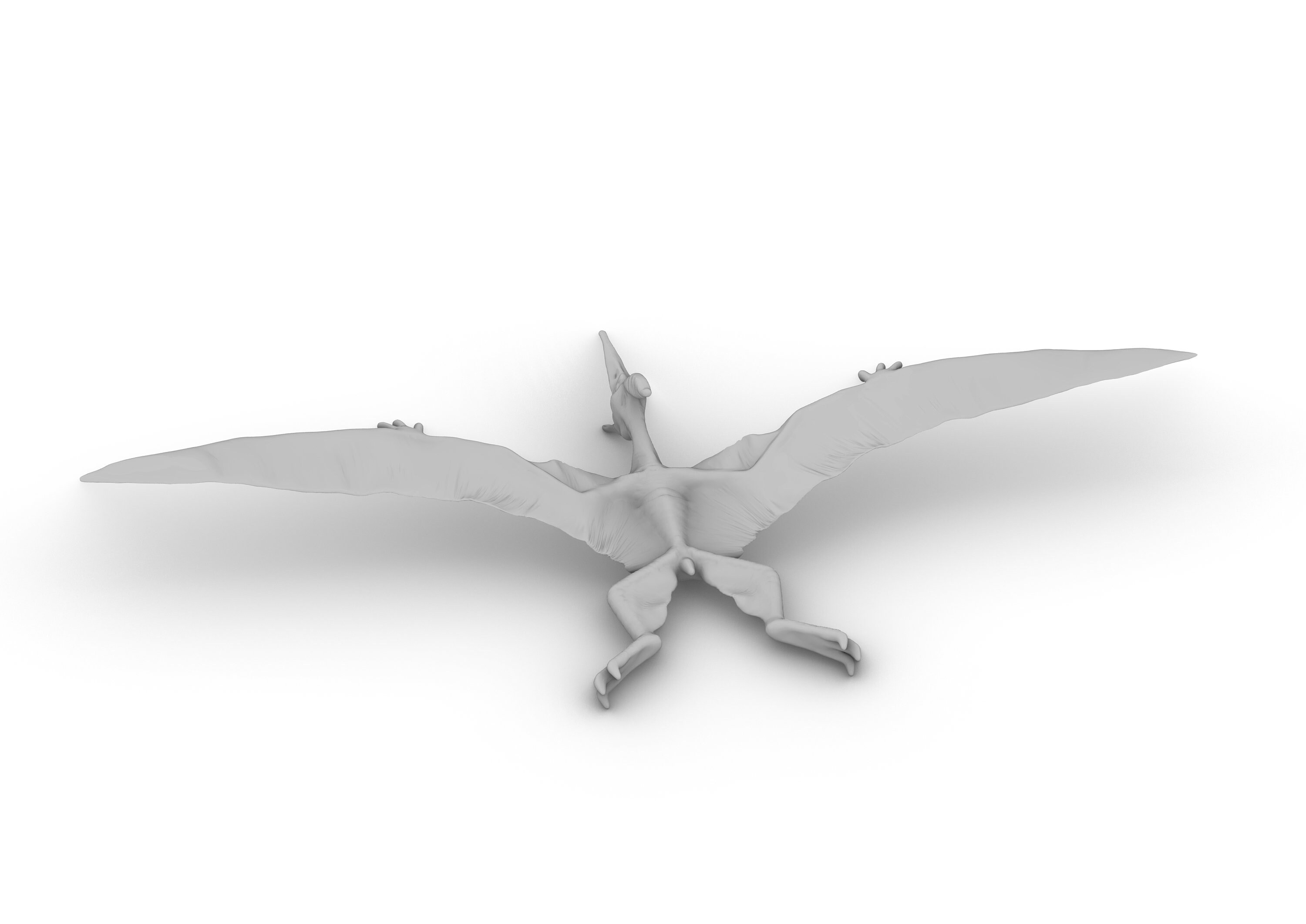 Pteranodon Tabletop DND Gaming Miniature - Etsy
