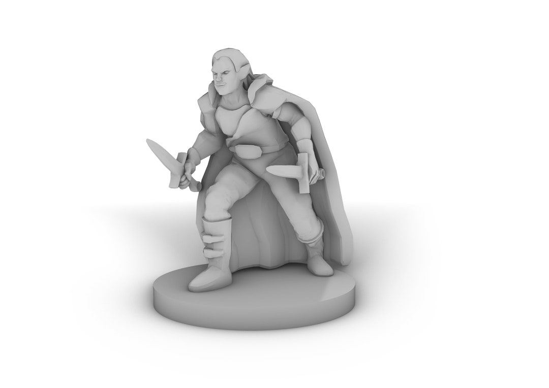 Half Elf Male Rogue Tabletop DND Gaming Miniature - Etsy