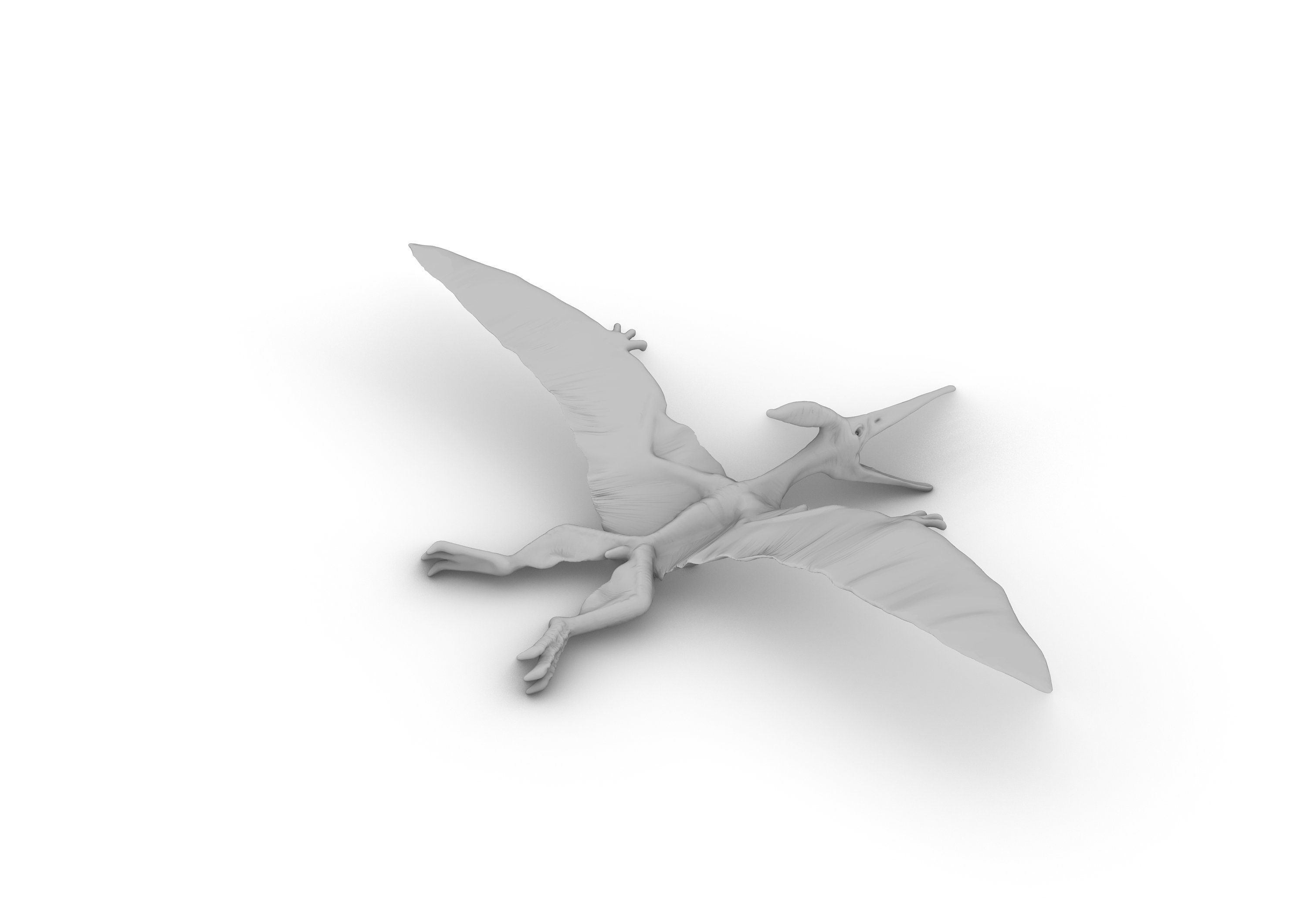 Pteranodon Tabletop DND Gaming Miniature - Etsy
