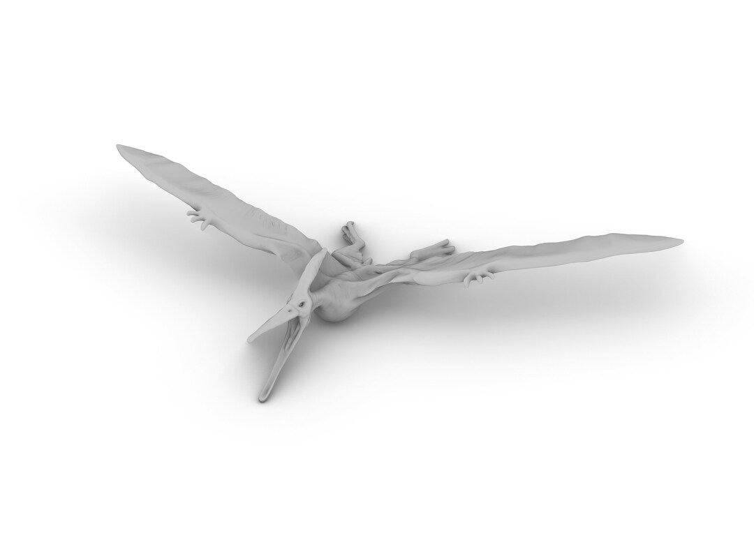 Pteranodon Tabletop DND Gaming Miniature - Etsy