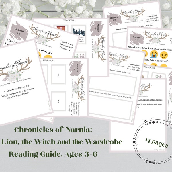 Lion Witch Wardrobe - Etsy