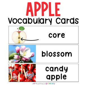 Apple Vocabulary Words, Apple Theme Preschool Prek Kindergarten ...