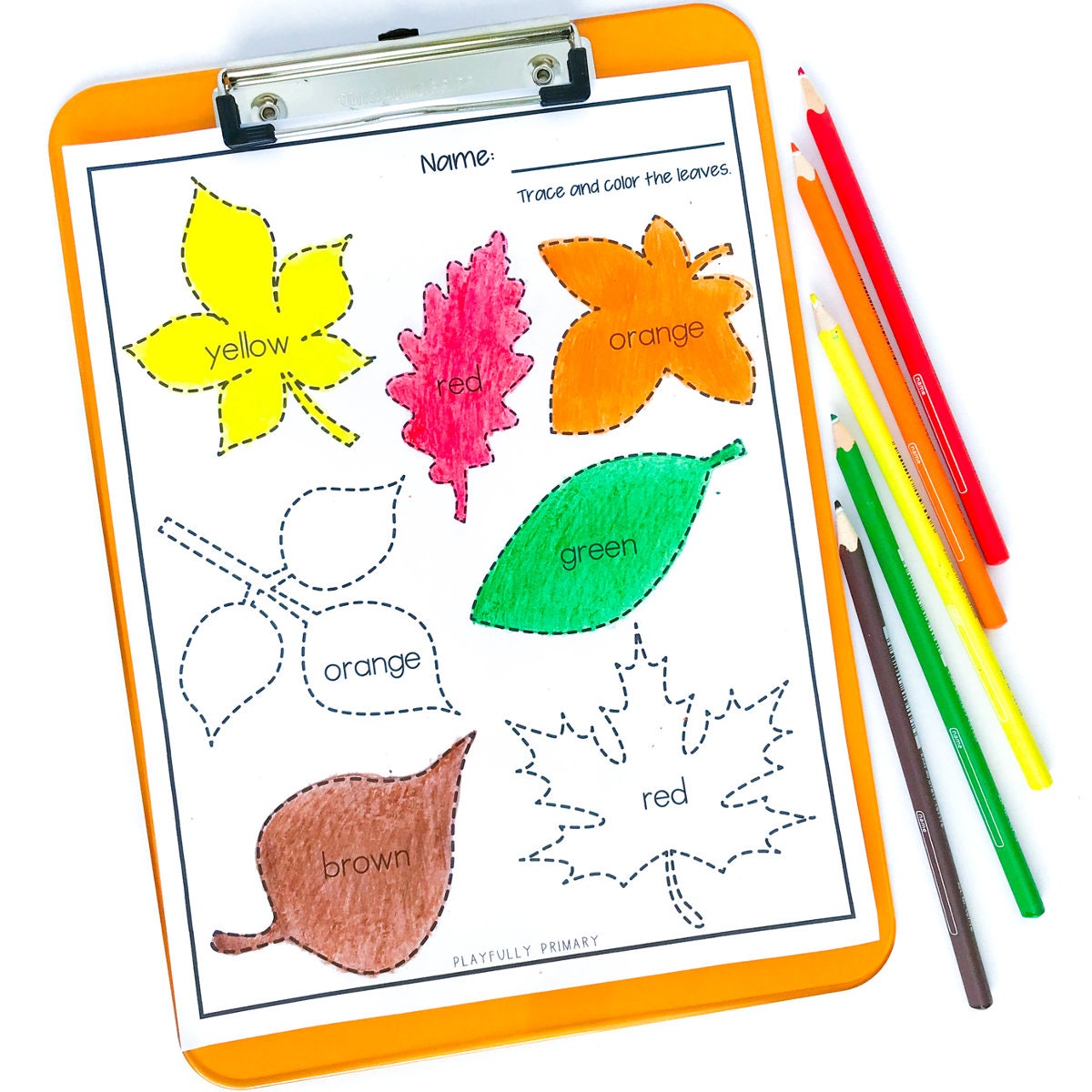 Leaf Coloring Page - Fall Tracing Practice - Fall Leaves Unit Study ...