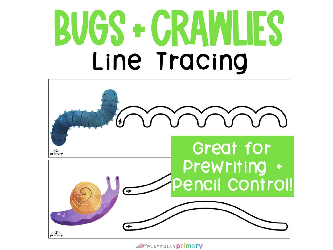 Insect Activity for Preschoolers, Insect Unit Study Bug Activities ...