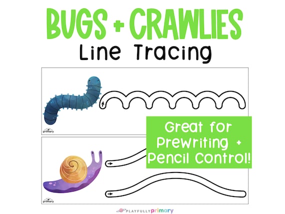 Hoja De Trabajo Sobre Insectos Proyecto Insectos 2 | PDF | Aprendizaje