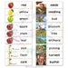 Apple Vocabulary Words, Apple Theme Preschool Prek Kindergarten ...