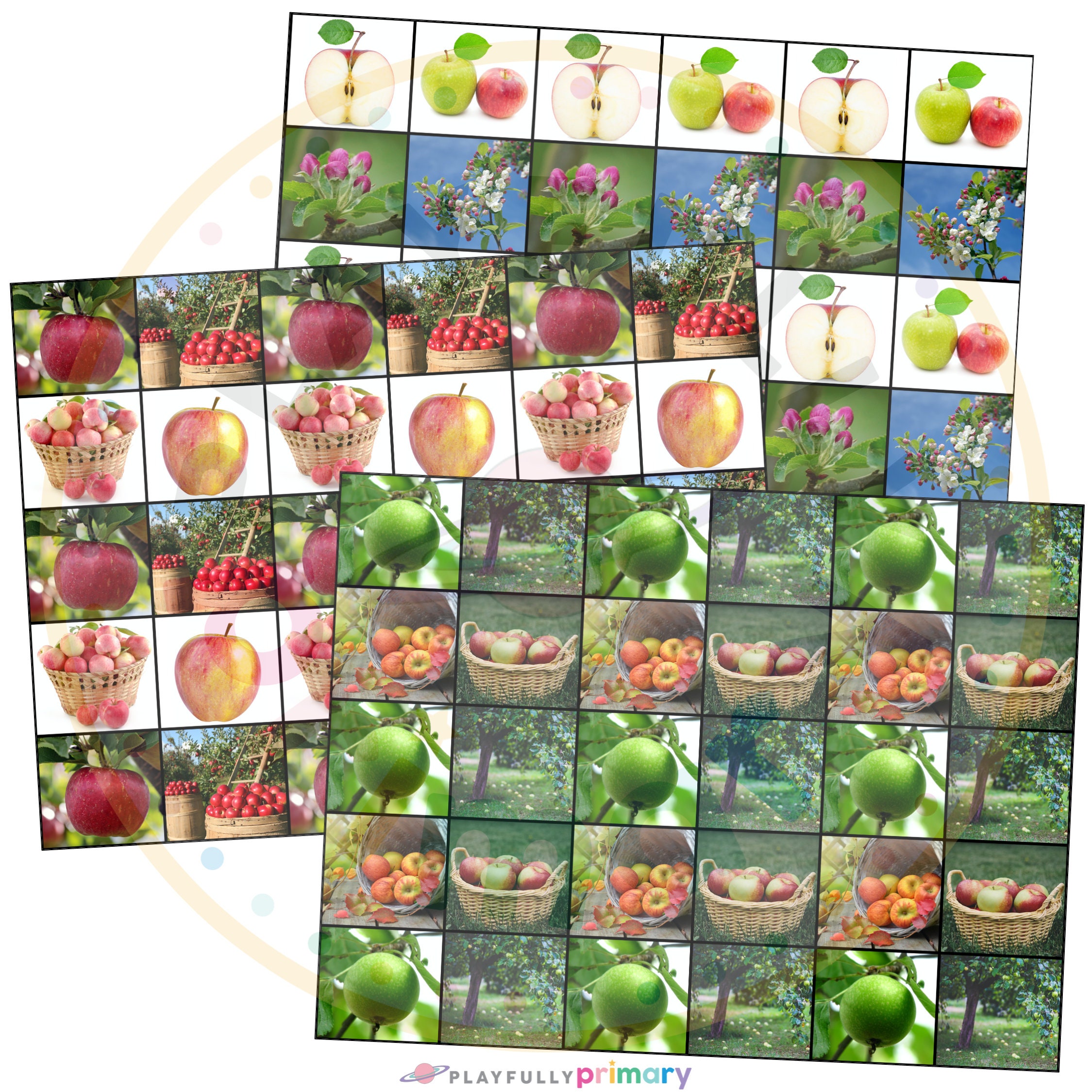 Apple Scissor Skills Printable Cutting Practice Strips, Montessori ...