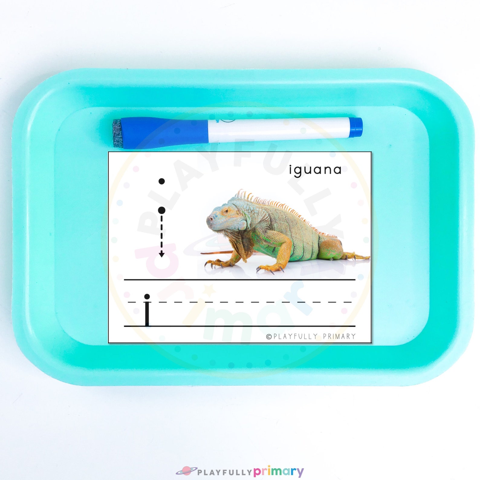 Alphabet Flashcards Printable With Real Pictures Alphabet - Etsy