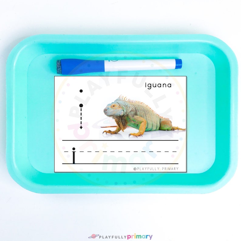 Alphabet Flashcards Printable With Real Pictures, Alphabet Tracing ...